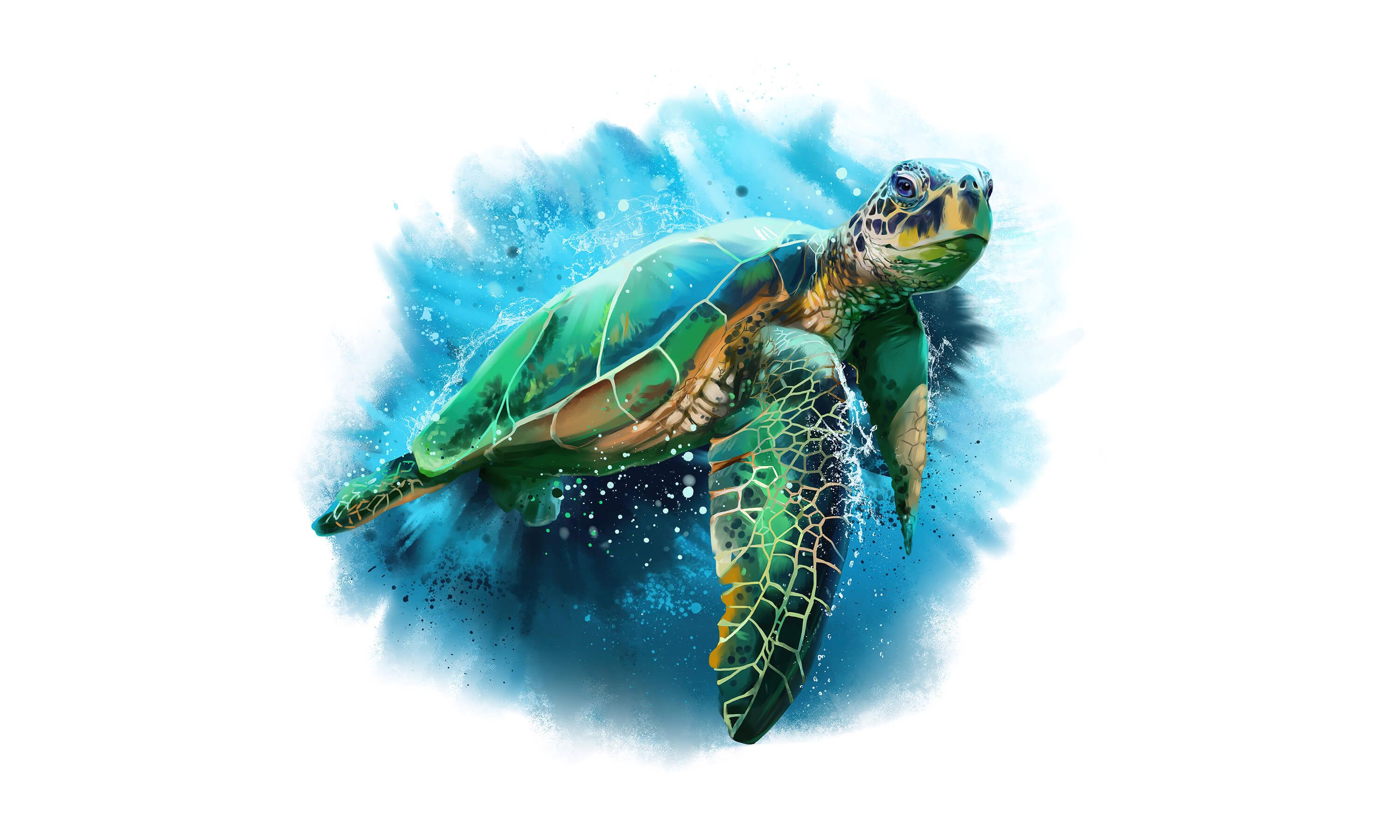 Turtle Wallpaper By The Ecotourism, An Alternative To Rainforest