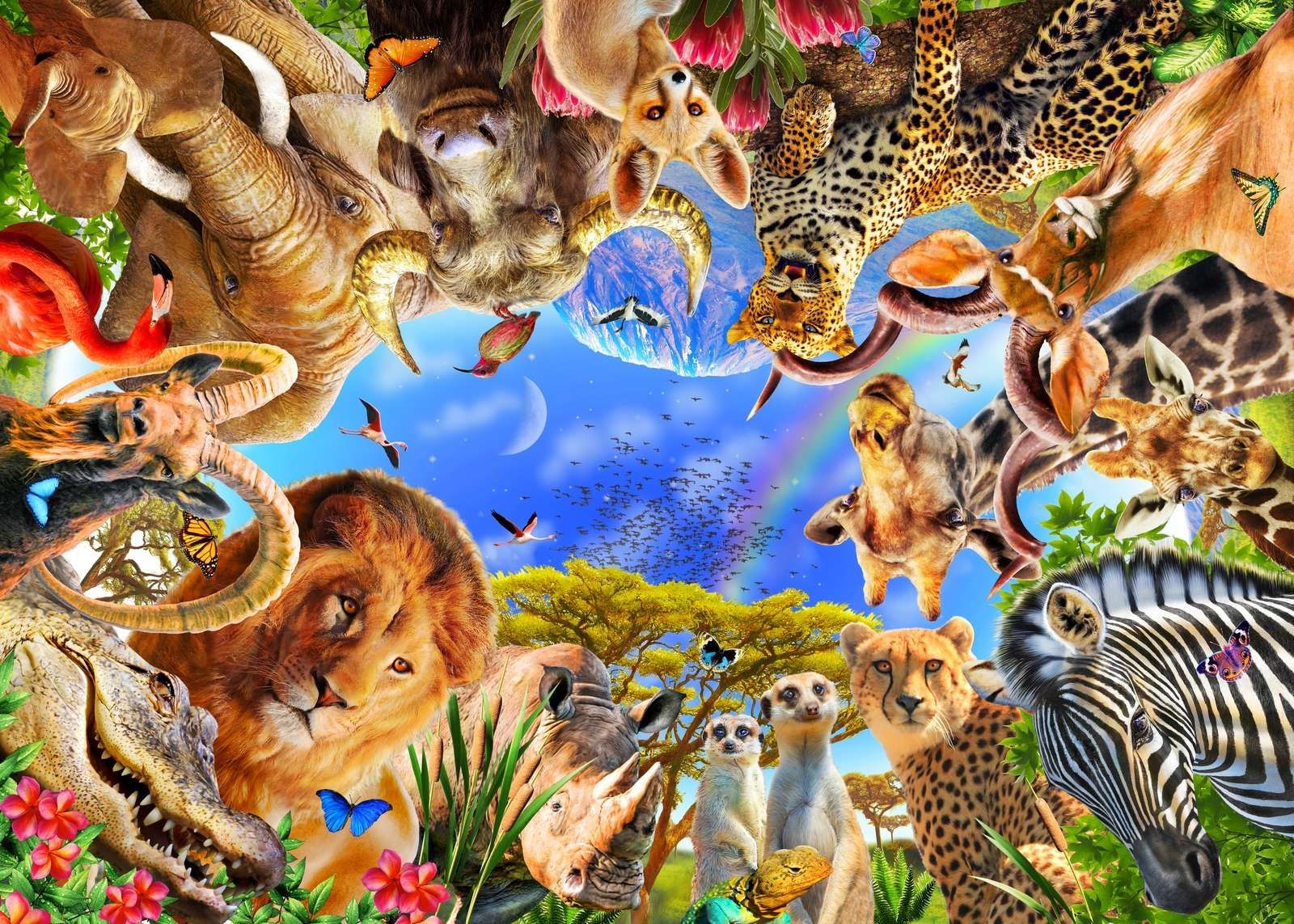 All The Animals In One Picture