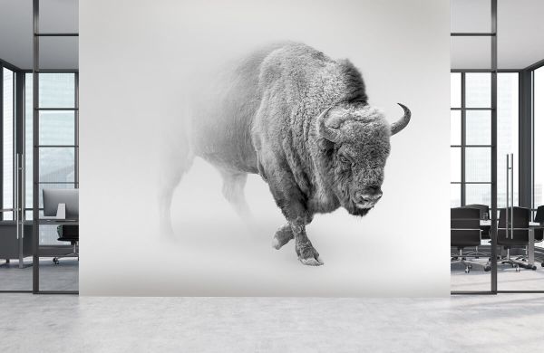 White Bison Art