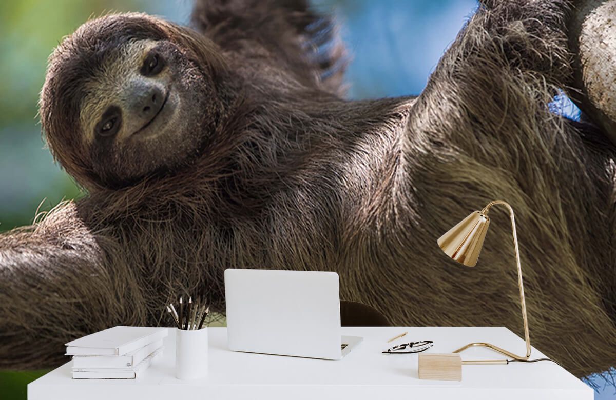 Geico Commercials | ppgbbe.intranet.biologia.ufrj.br