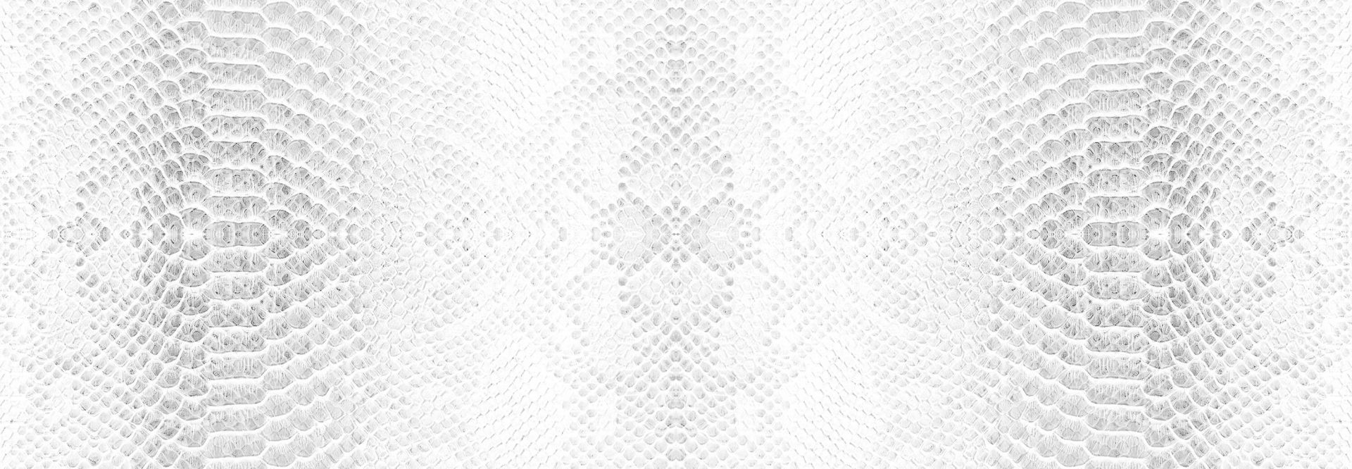 Black Snake Skin Wallpaper