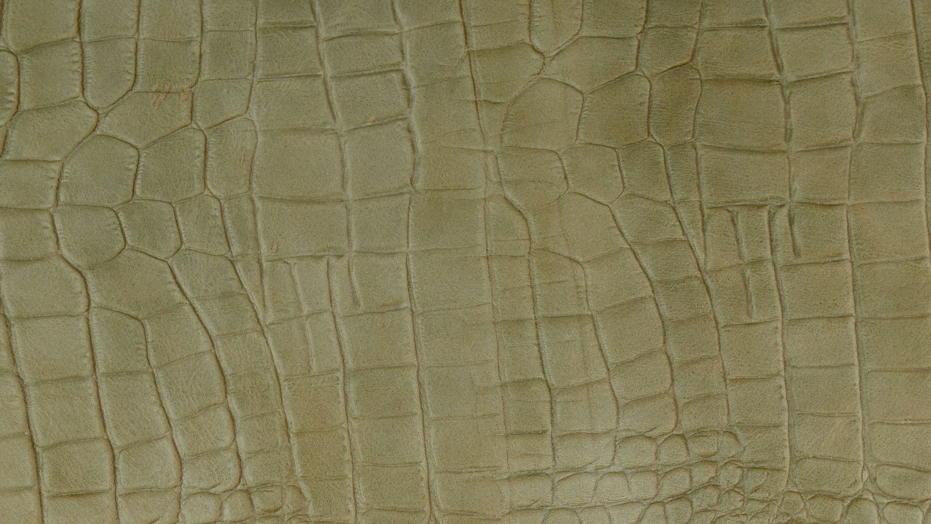 Crocodile Skin Pattern Photoshop
