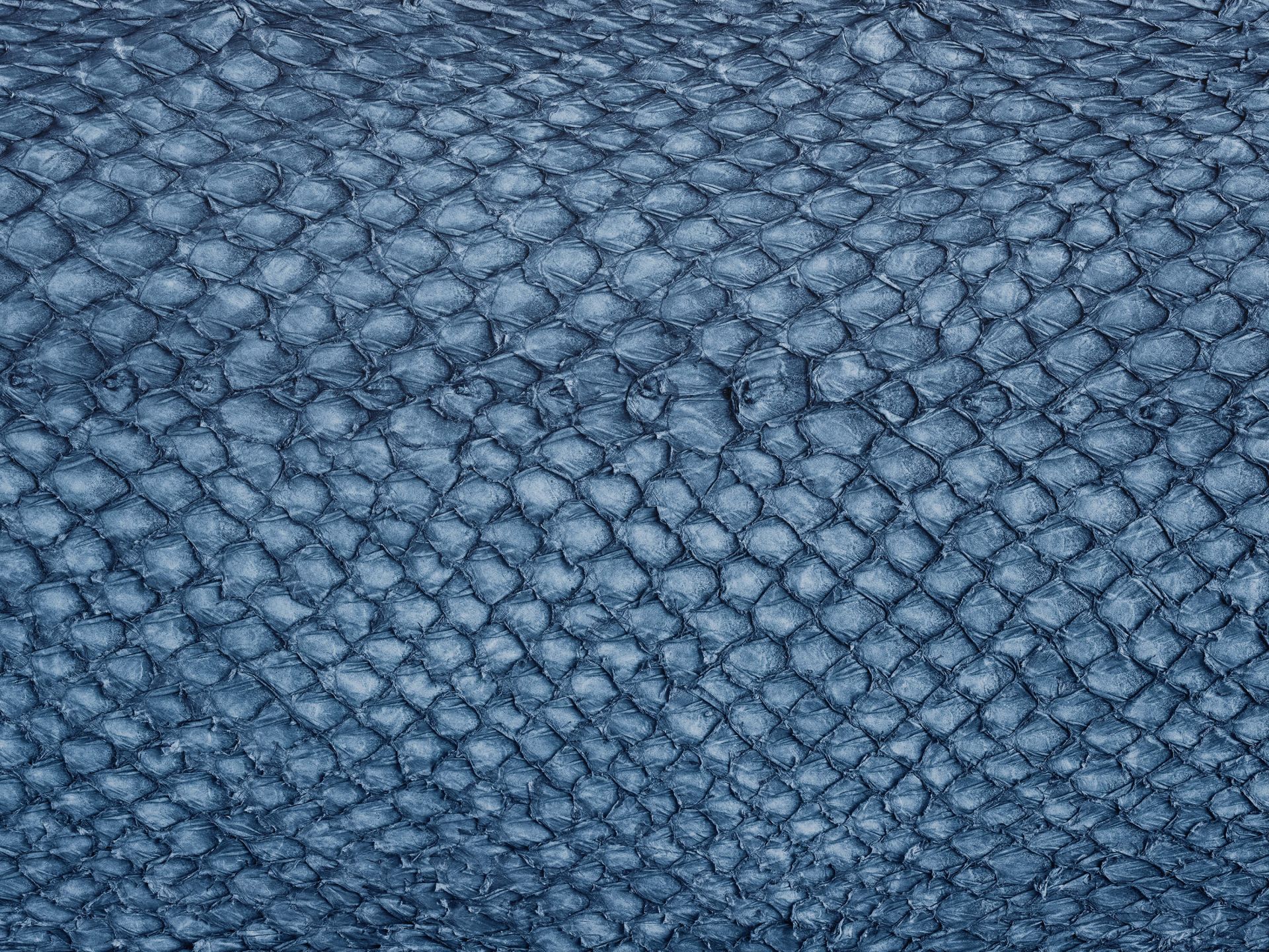 Wallpaper Mural - Structure of salmon skin in blue - Photo Wallpaper