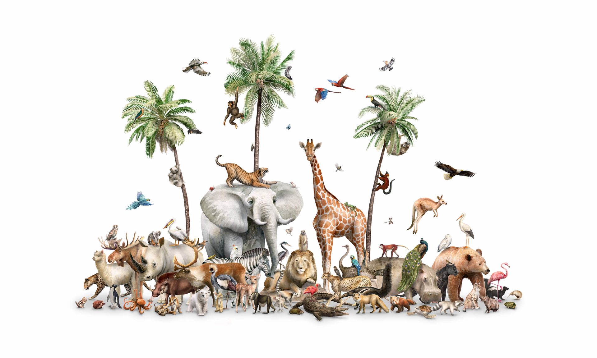Beautiful Biodiversity - Wallpaper
