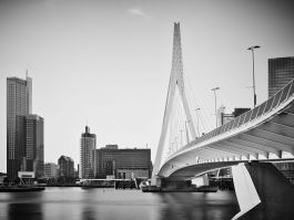 The Erasmus Bridge - Wallpaper