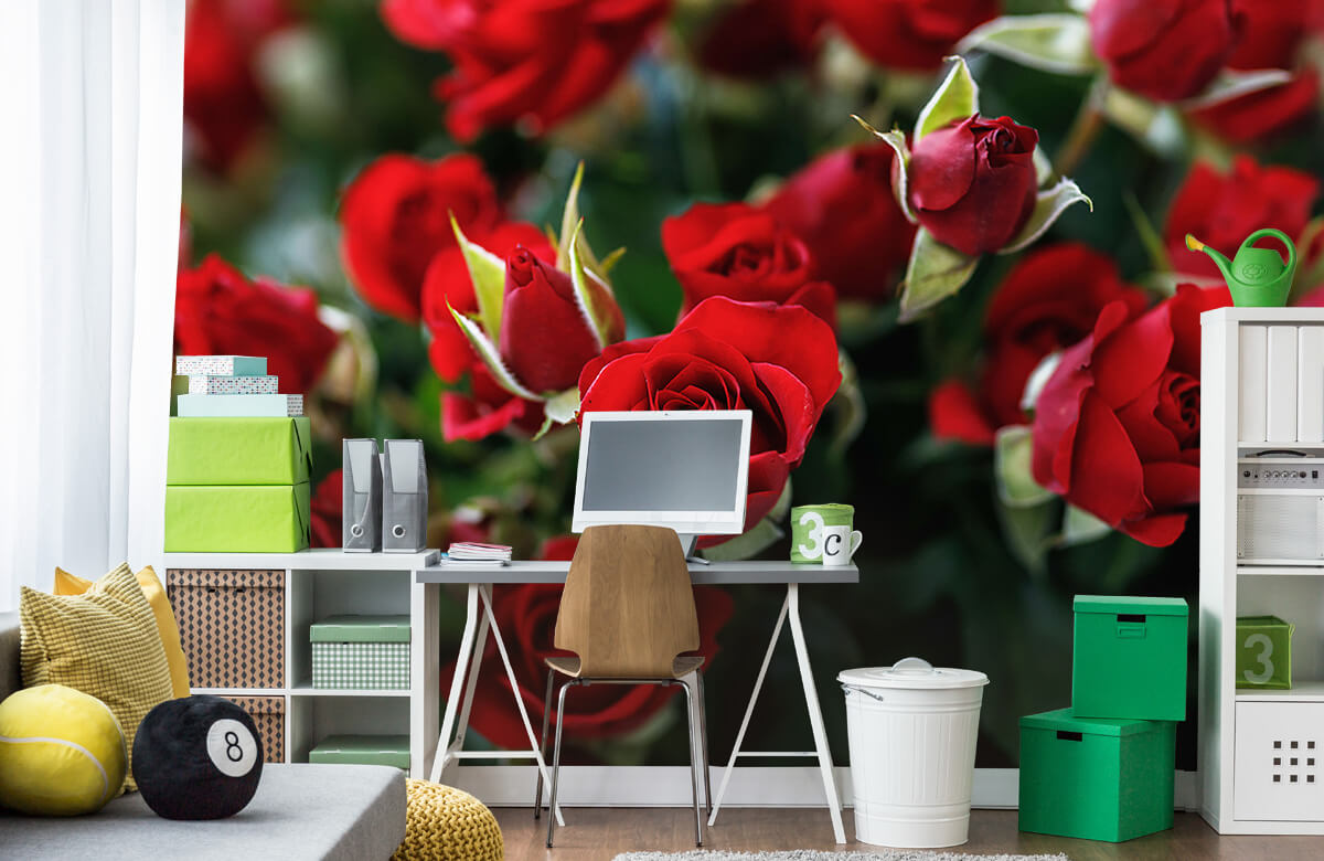 Red rose bush - Wallpaper